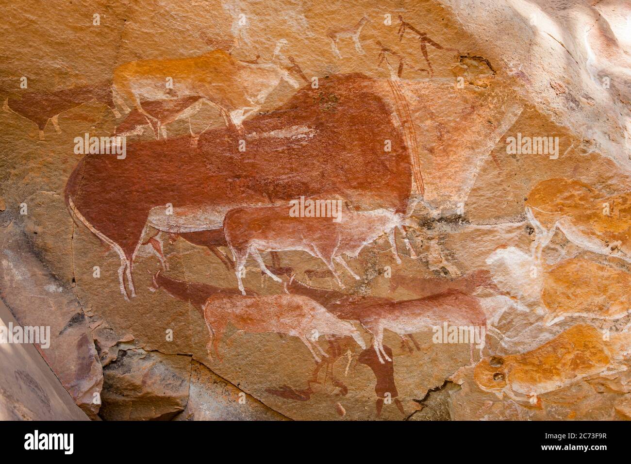 Drakensberg, "Eland cave" rock painting site, rock art, Didima gorge ...