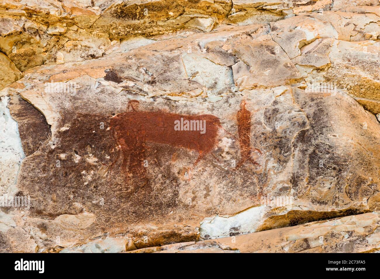San bushman eland hi-res stock photography and images - Alamy