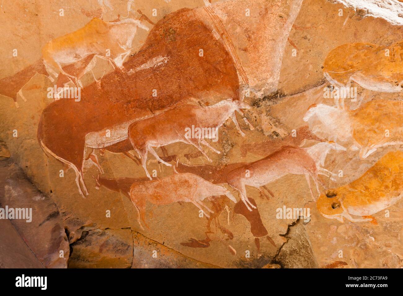 Drakensberg, "Eland cave" rock painting site, rock art, Didima gorge ...