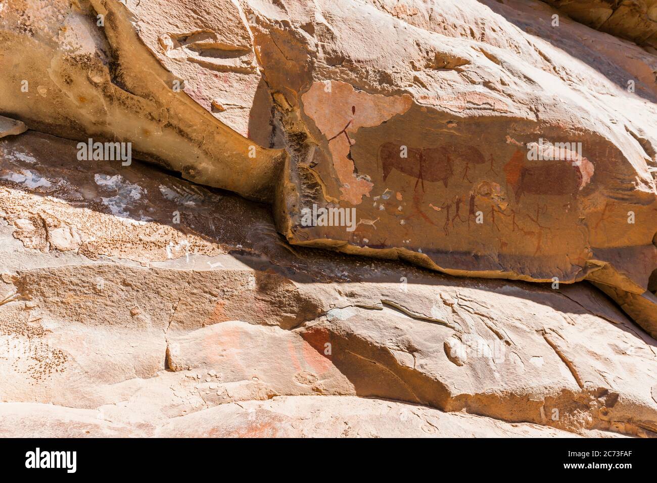 Drakensberg, "Eland cave" rock painting site, rock art, Didima gorge ...