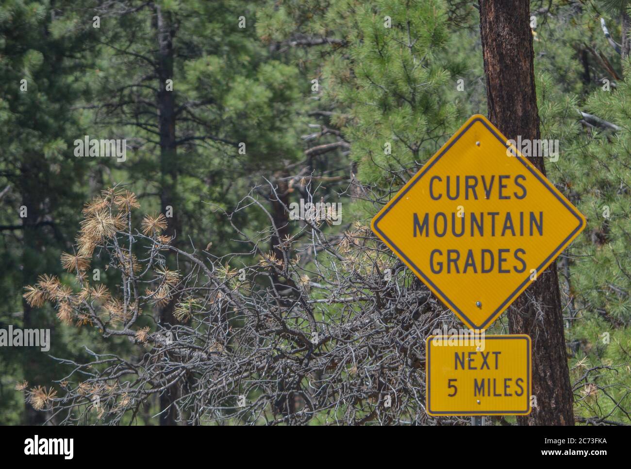 Curves and Mountain Grades Sign in the Arizona Pine Forest. Flagstaff ...