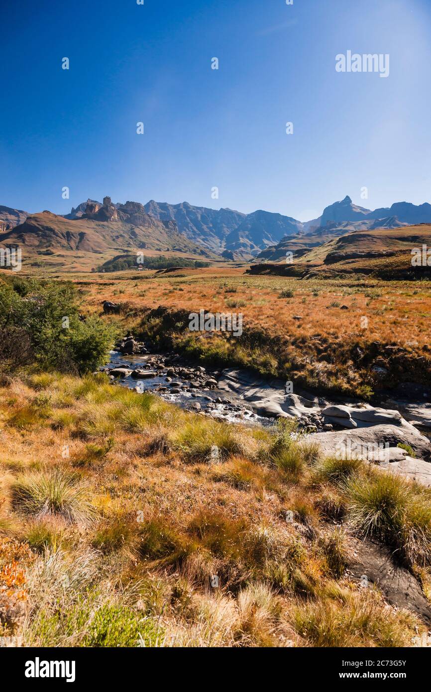 Drakensberg, View of mountains (Rhino Horn Peak), Garden Castle ...