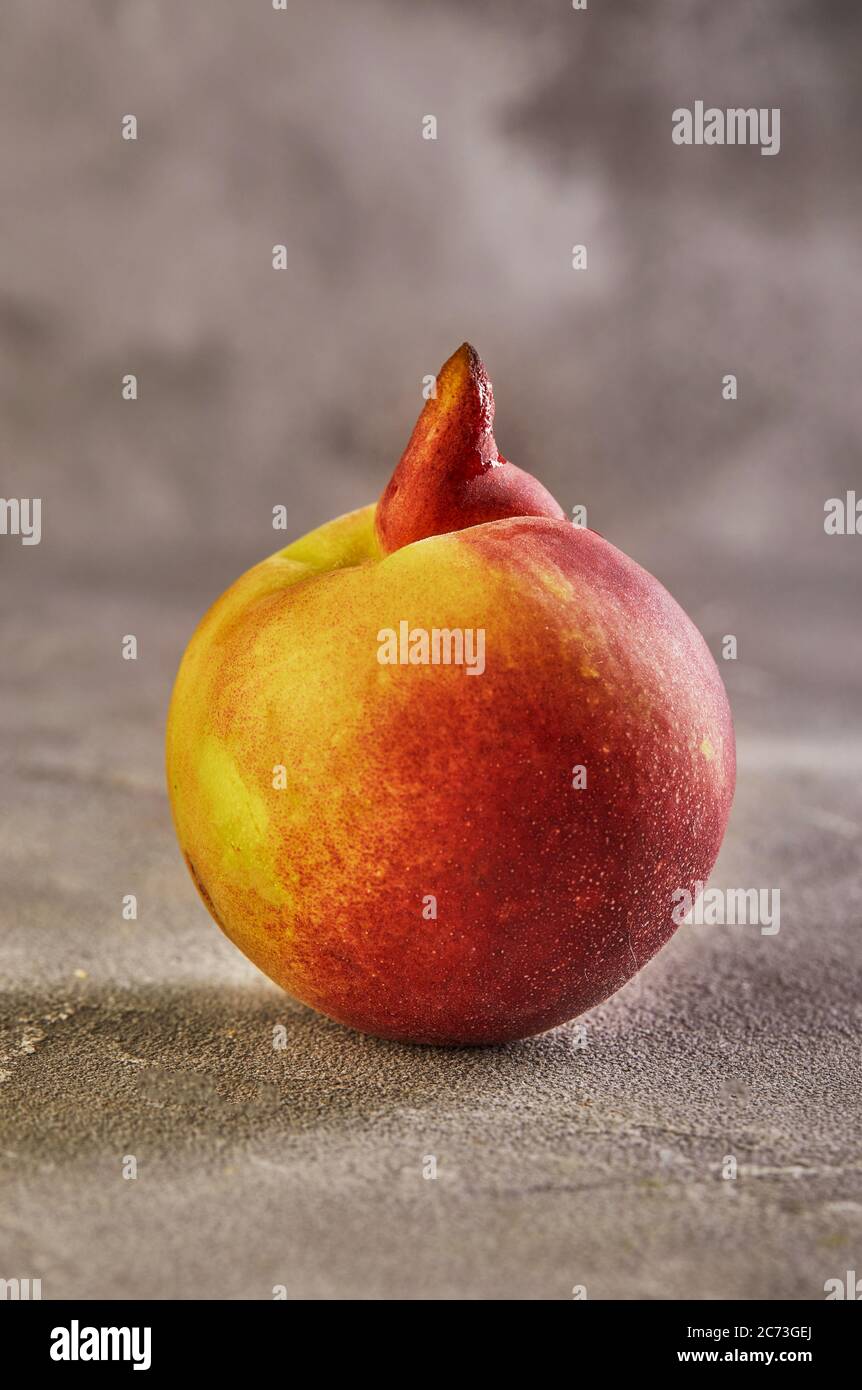 Ugly fruit or vegetable. Severely malformed mutant peach on grey ...