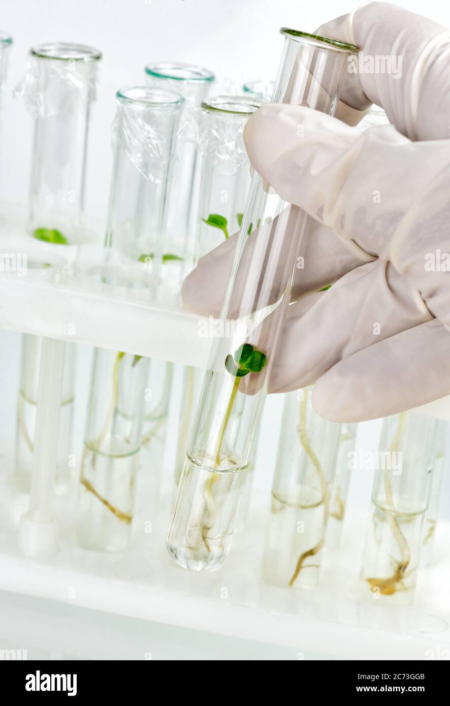 Biological material hi-res stock photography and images - Alamy