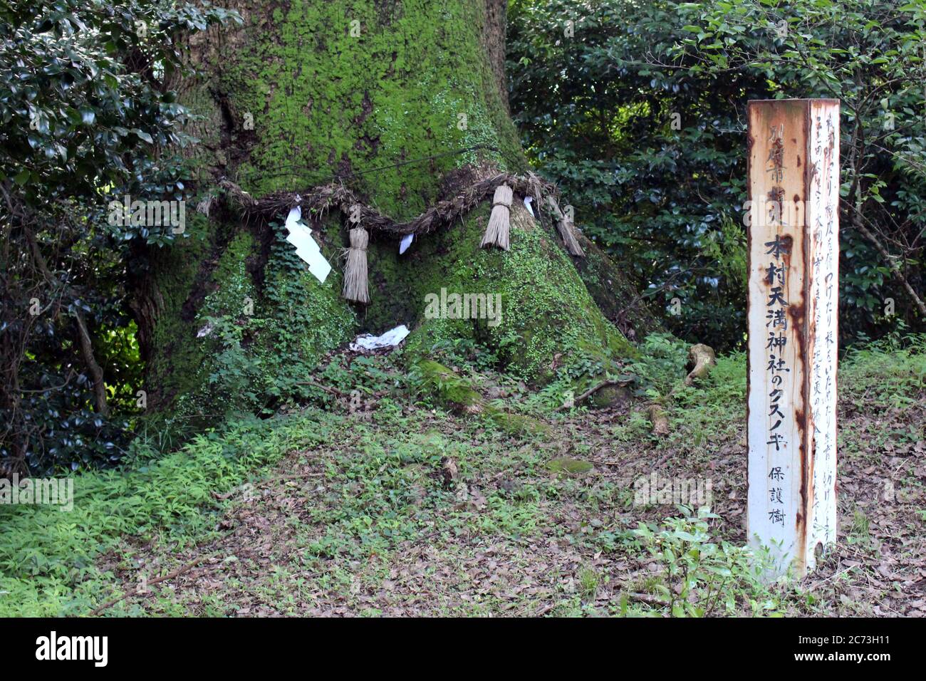 Japanese Prayer Tree High Resolution Stock Photography and Images - Alamy