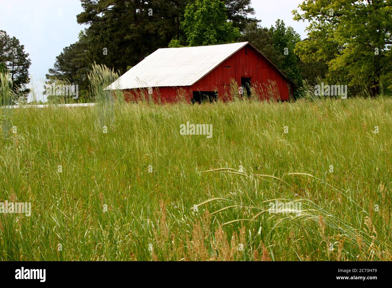 Old red barn surrounded a wheat farm Stock Photo - Alamy