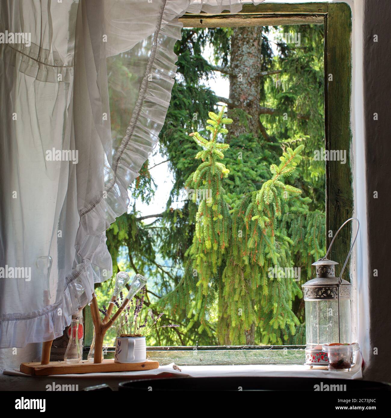 Desk in forest hi-res stock photography and images - Alamy