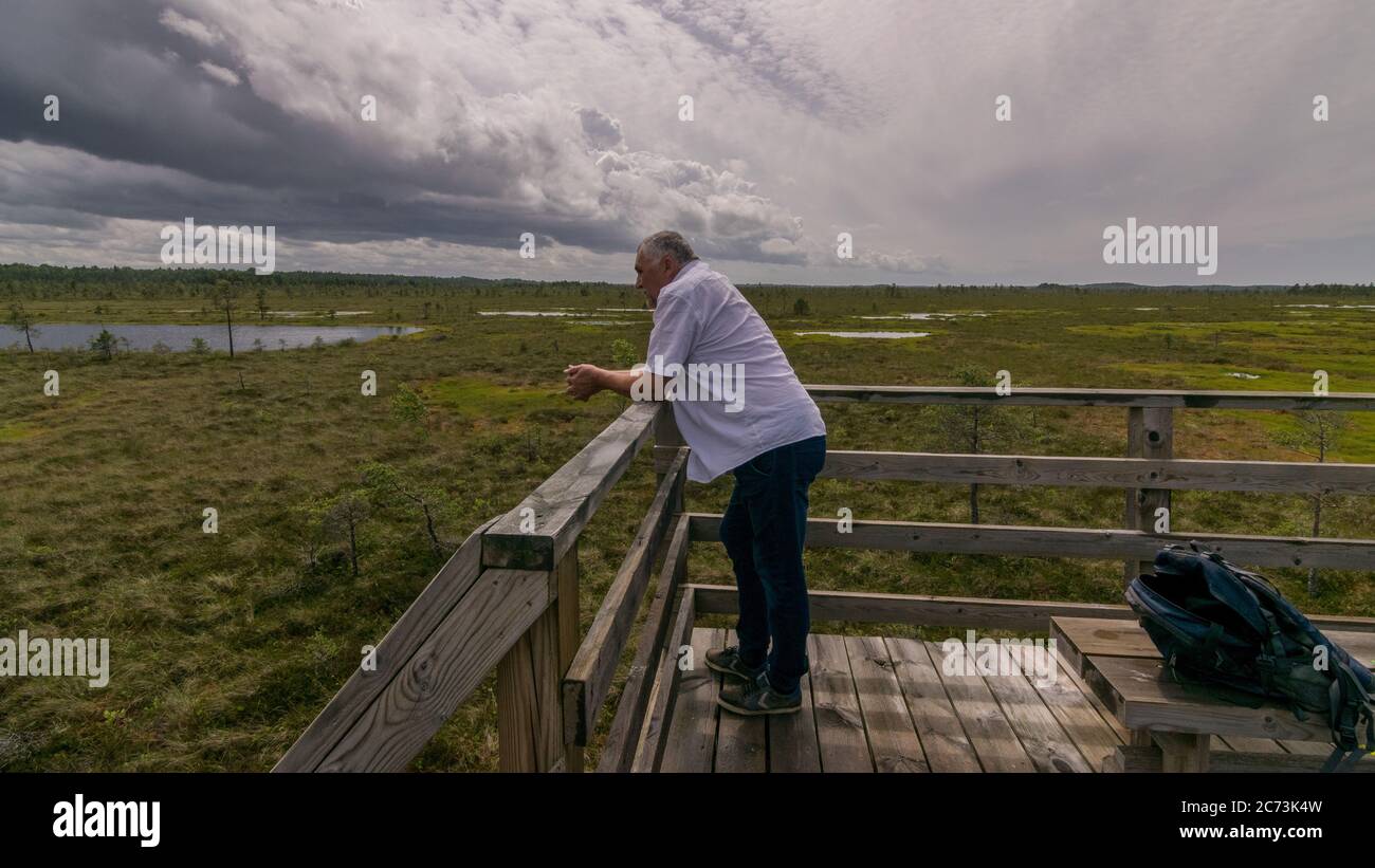 landscape in the summer swamp. a man in a white shirt looks out of a ...