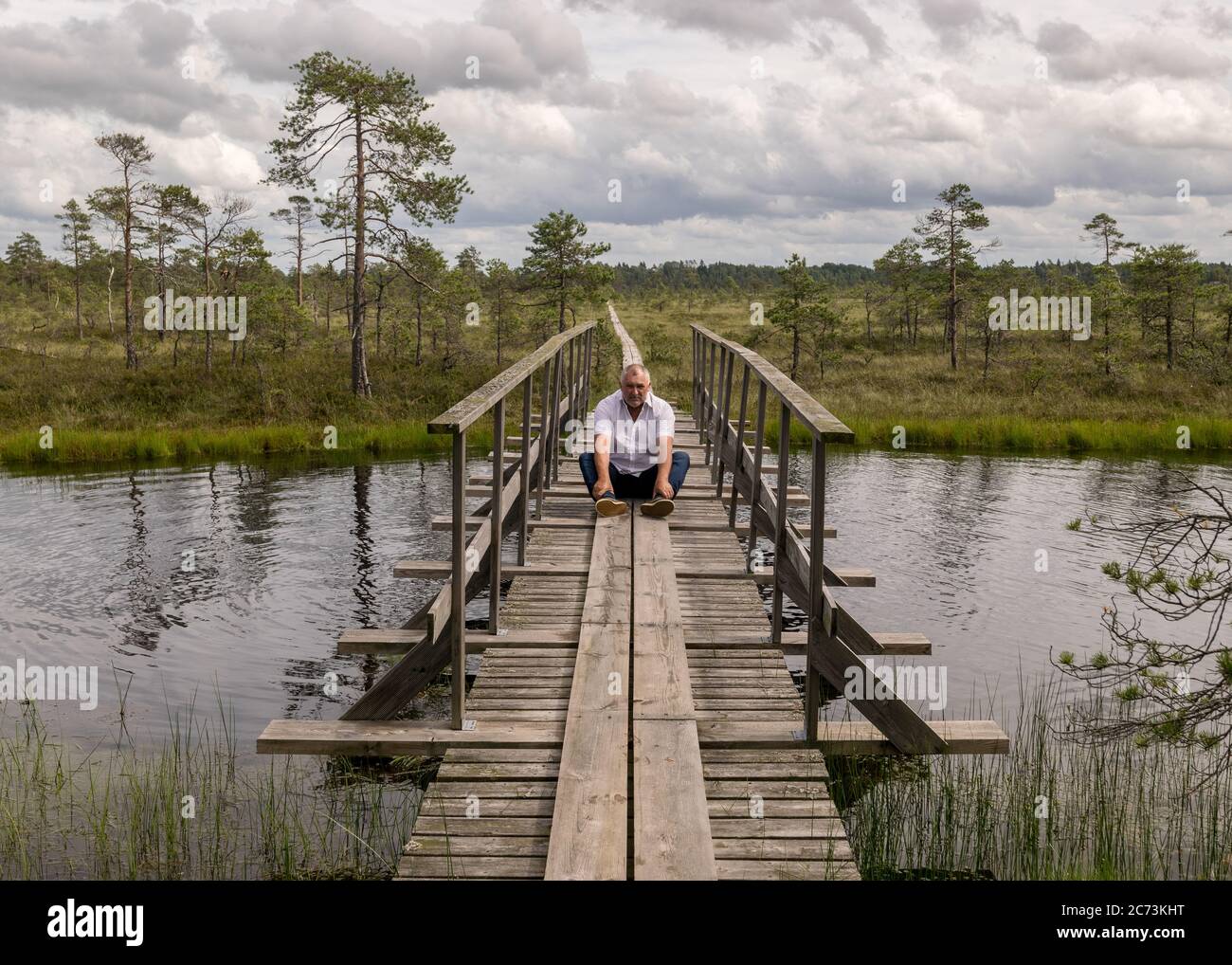 landscape in the summer swamp. a man in a white shirt sits on a wooden ...
