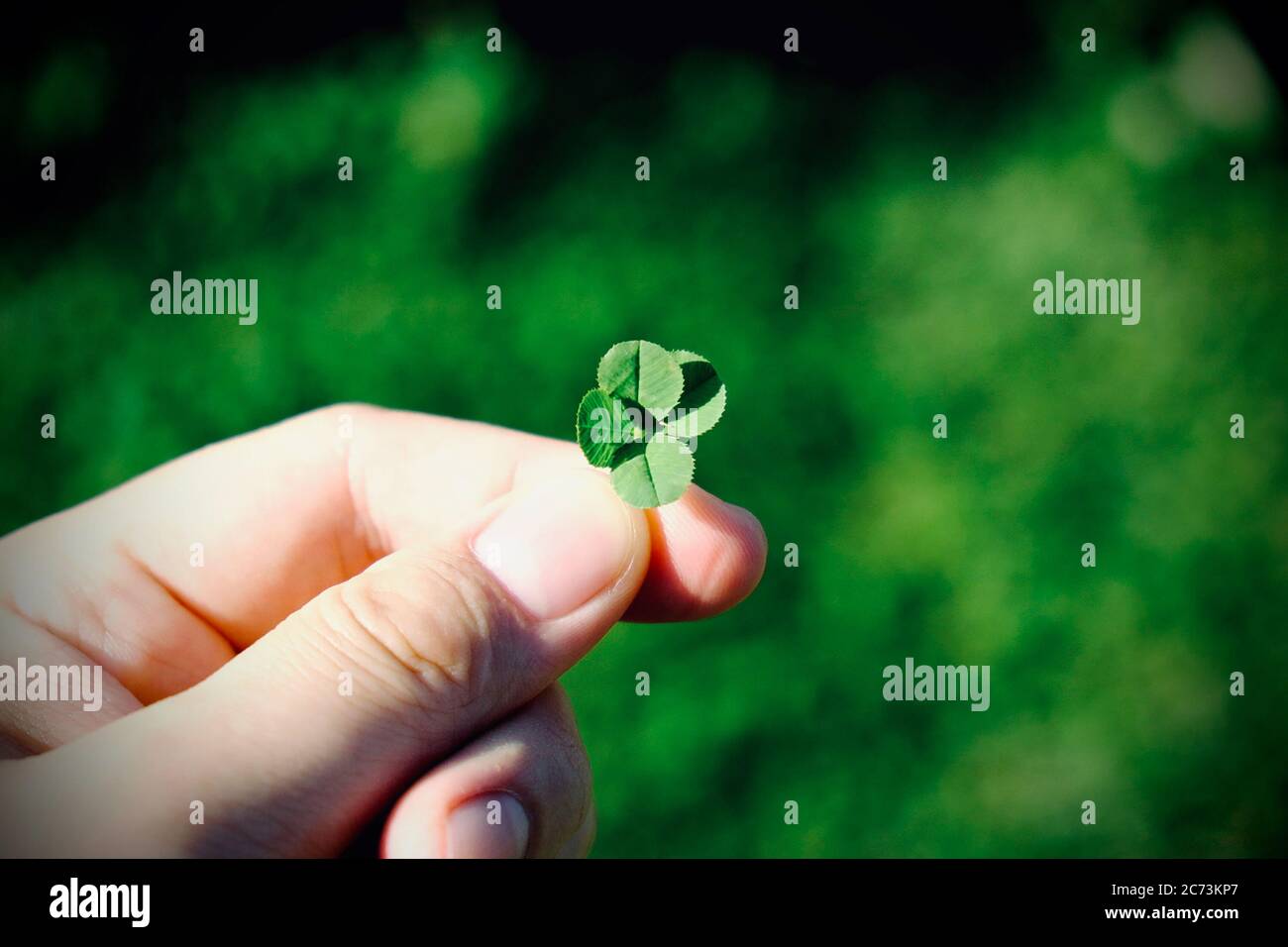 Woman hands hold eco hi-res stock photography and images - Alamy