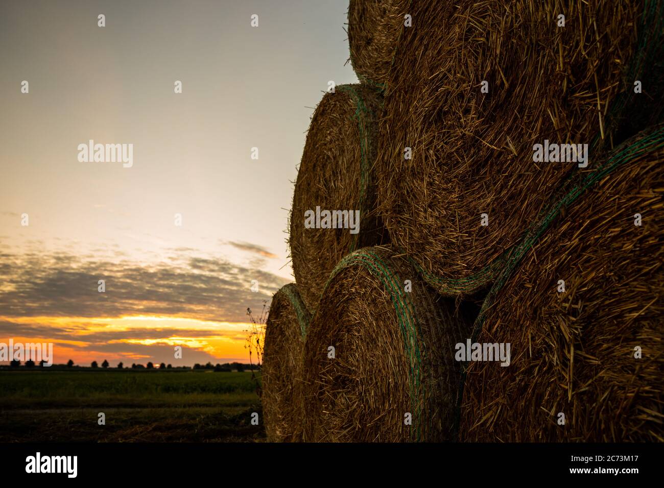 Schellerten hi-res stock photography and images - Alamy
