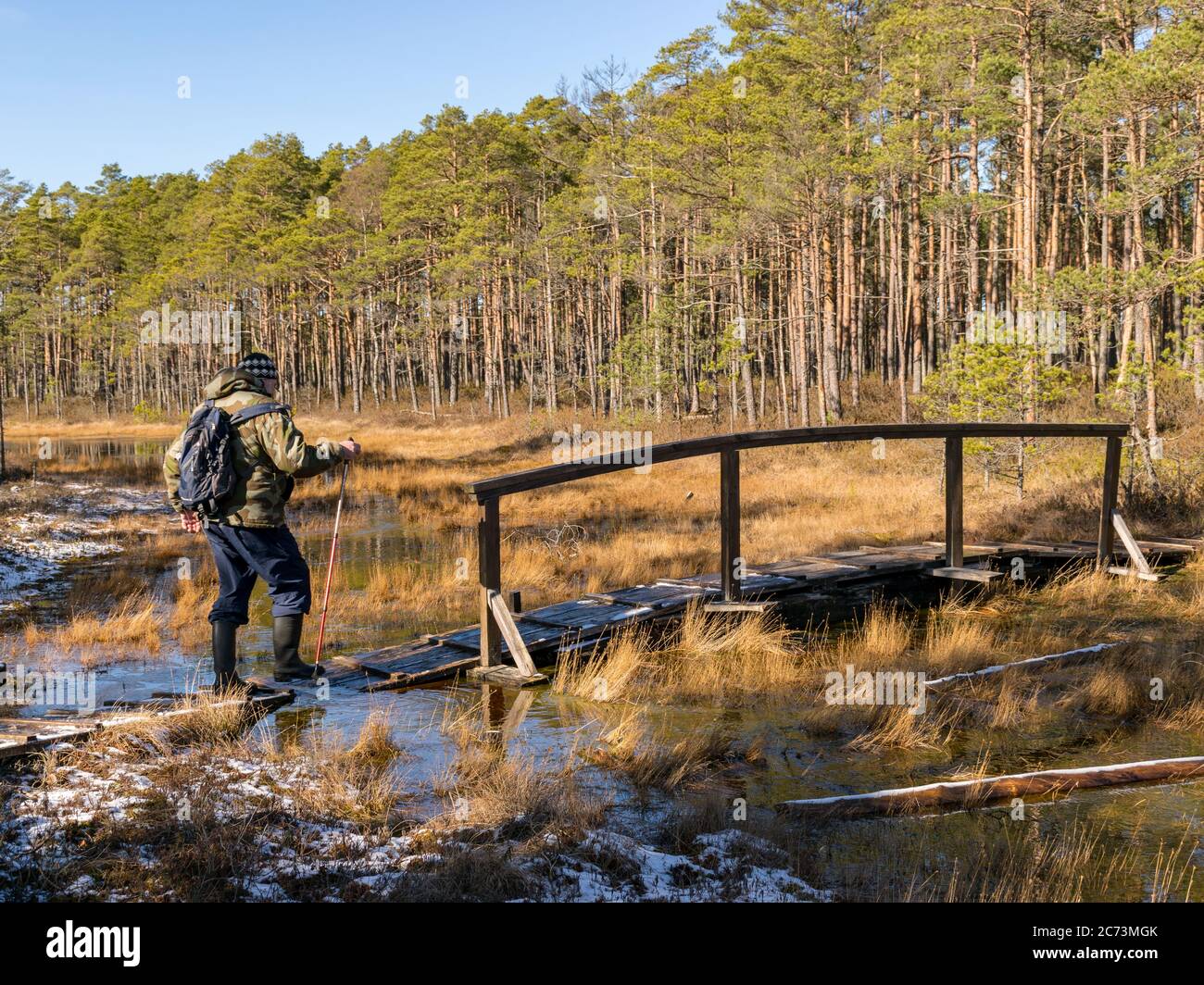 landscape with a human figure on a wooden pedestrian footbridge in a ...