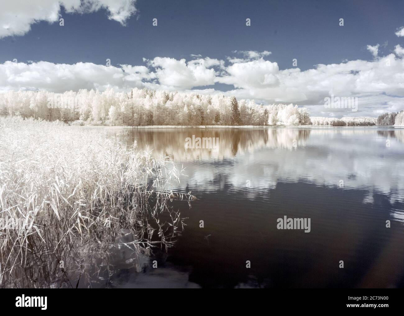 infrared surreal landscape, lake with sky reflections, infrared photo ...