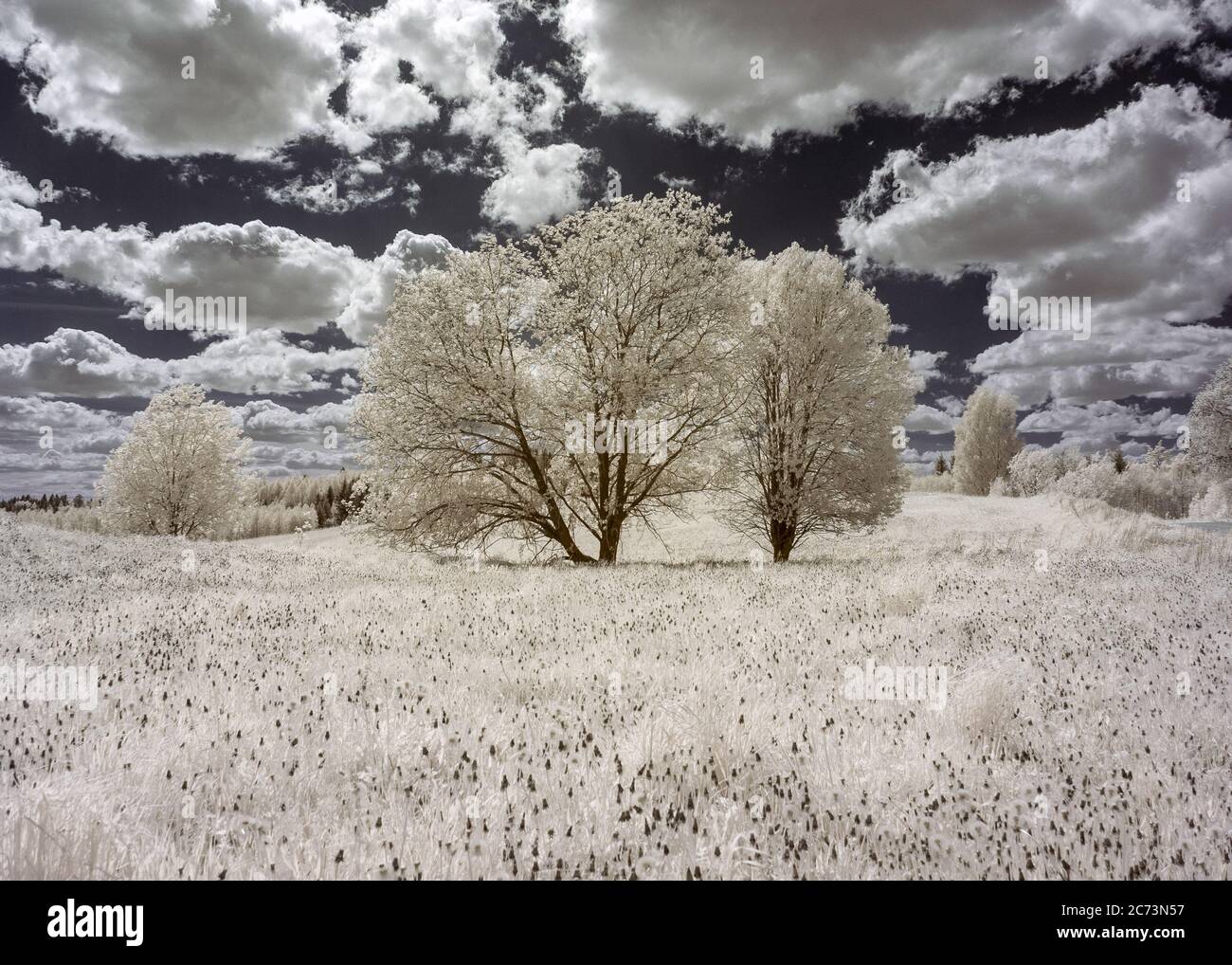 Unusual Landscape Photography Top 2023 Landscape Photographs