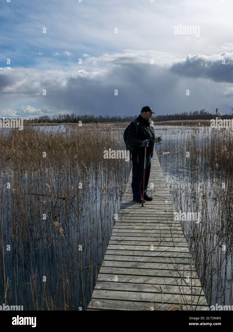 landscape with a human figure on a wooden pedestrian footbridge in a ...