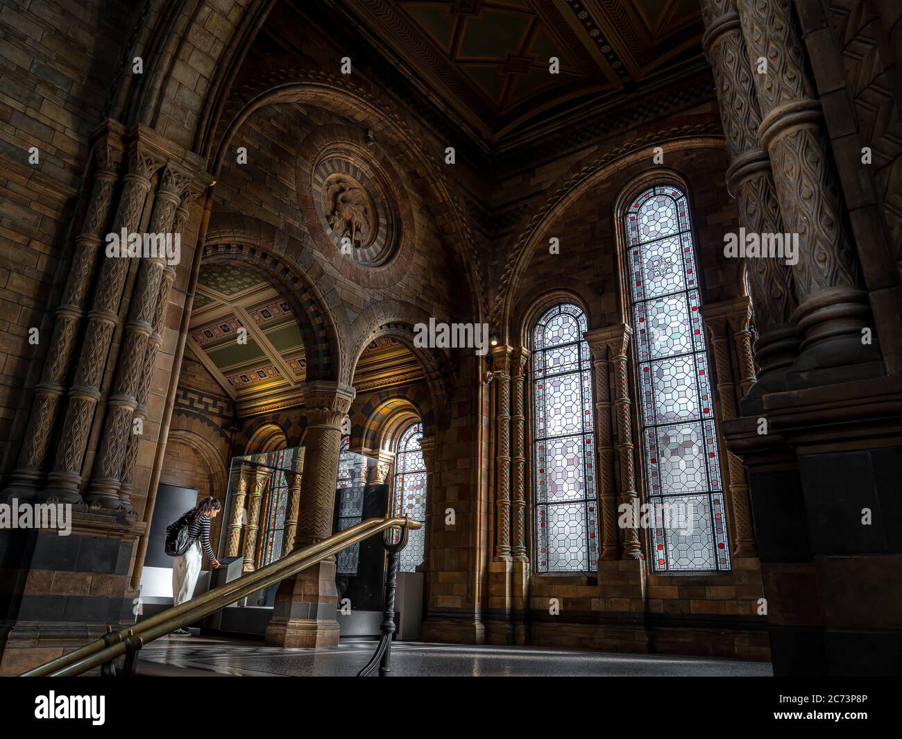 Natural history museum windows hi-res stock photography and images - Alamy