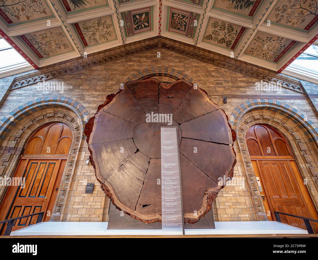 Sequoia museum hi-res stock photography and images - Alamy