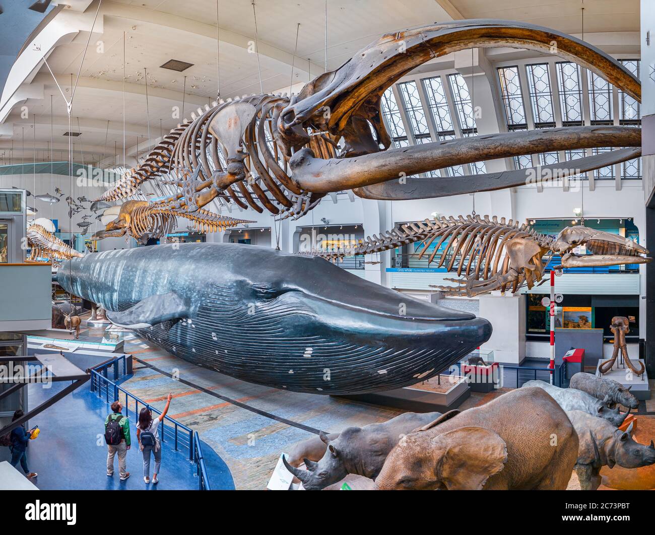 Museum aquatic hi-res stock photography and images - Alamy