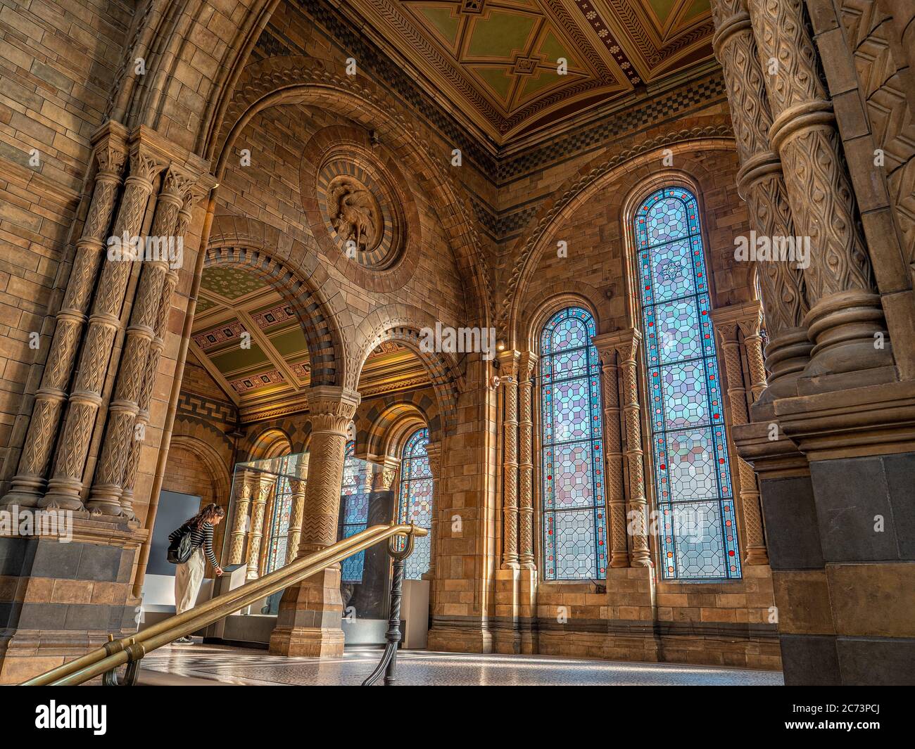 Natural history museum windows hi-res stock photography and images - Alamy