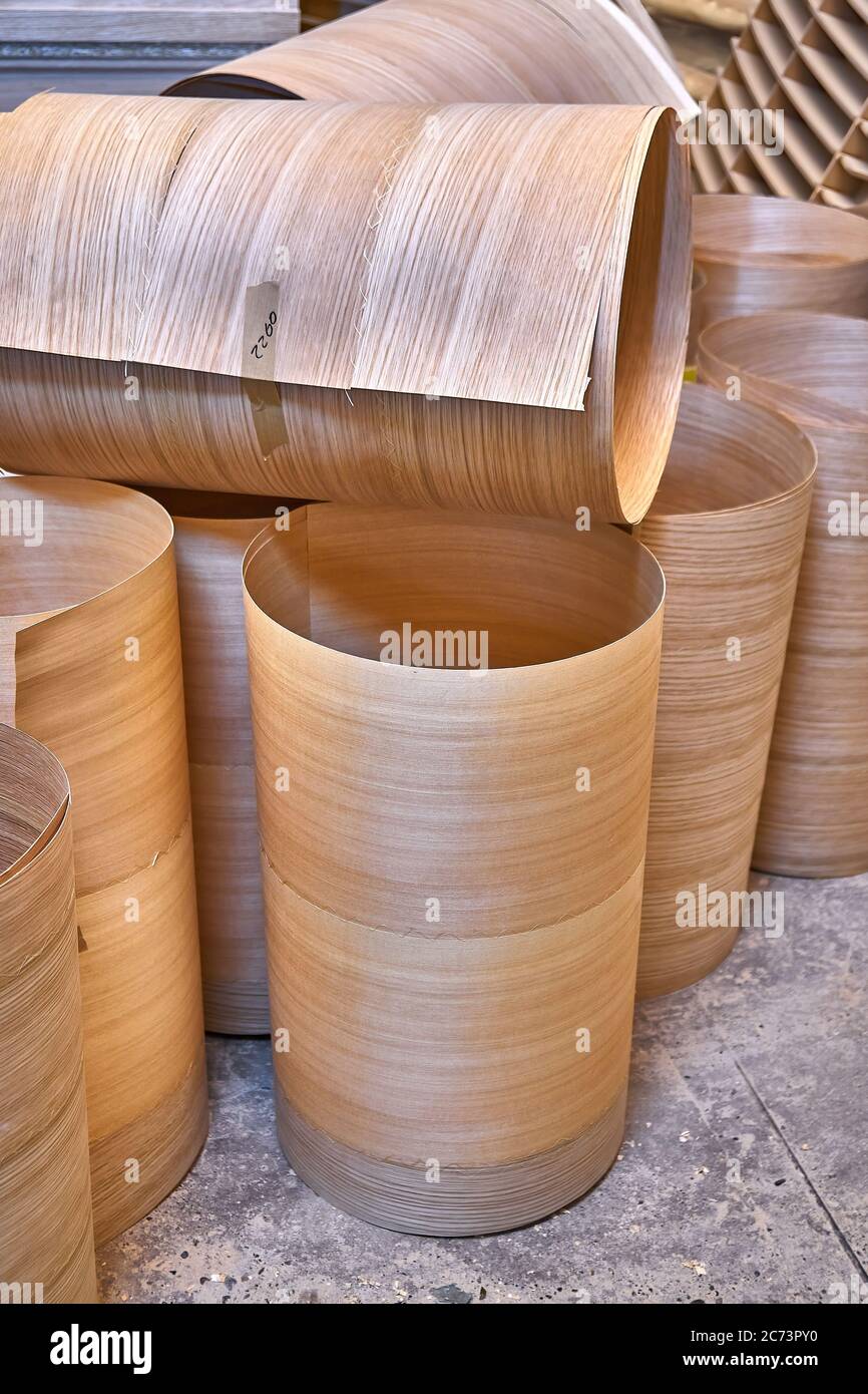 Oak veneer roll in workshop. Wood texture. Furniture manufacture. Close ...