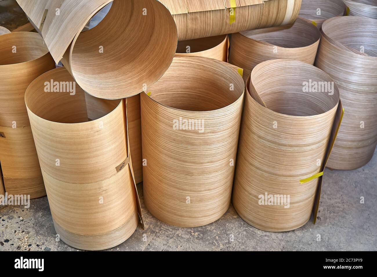 Oak veneer roll in workshop. Wood texture. Furniture manufacture. Close ...