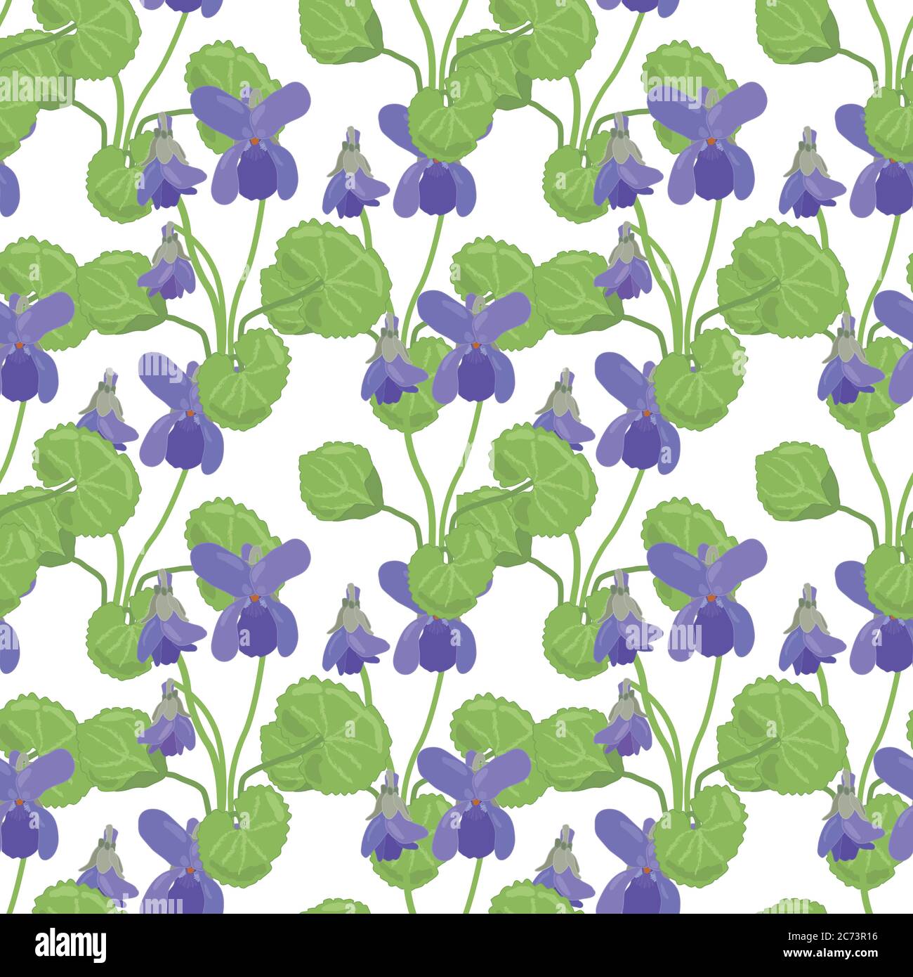 Floral seamless pattern made with hand drawn wild forest viola flowers ...