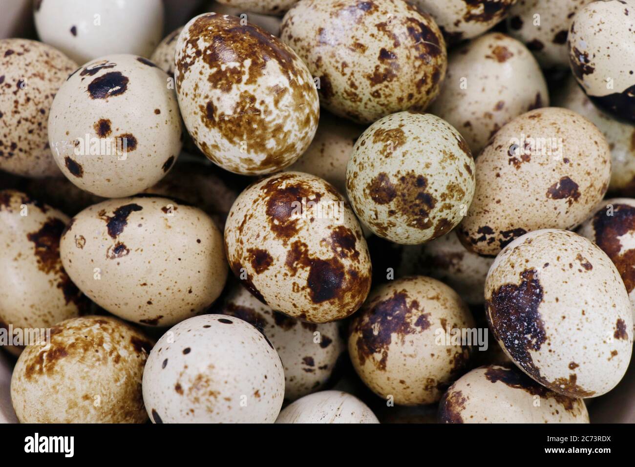 fresh quail eggs isolated on white background Stock Photo - Alamy