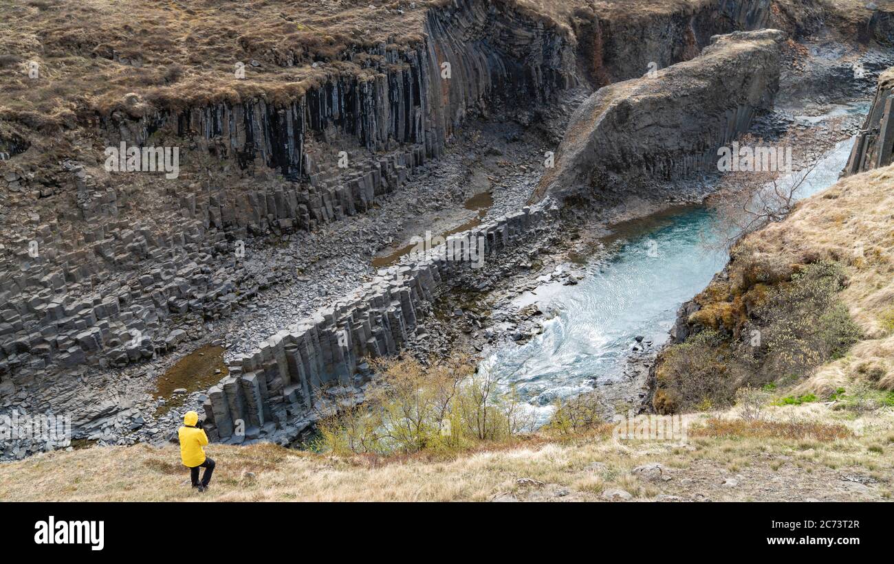 Tourist overlooking Studlagil basalt canyon. This is a rare volcanic basalt column formation in ...