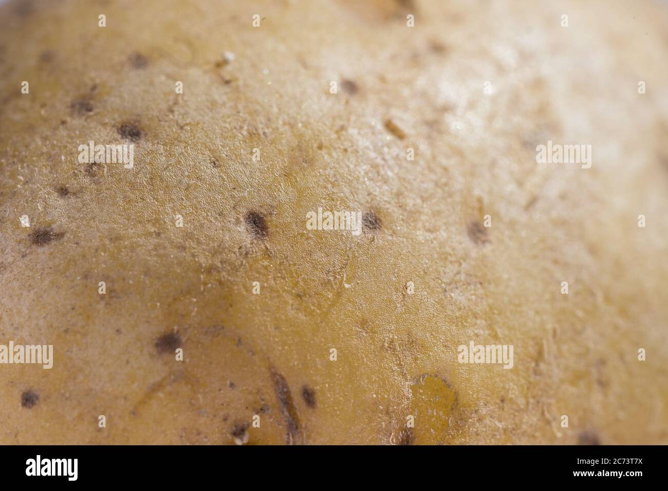 Skin intact hi-res stock photography and images - Alamy