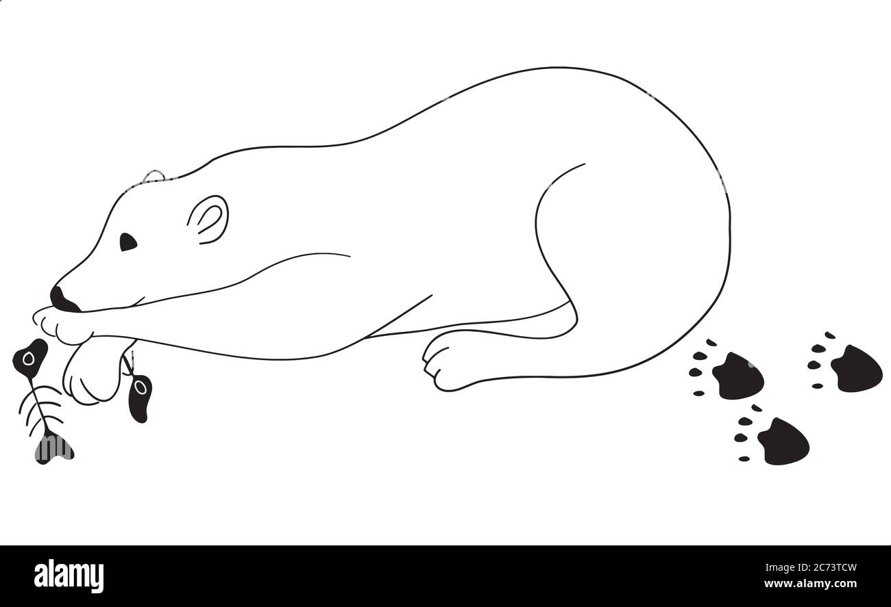 Polar bear eating fish hi-res stock photography and images - Alamy