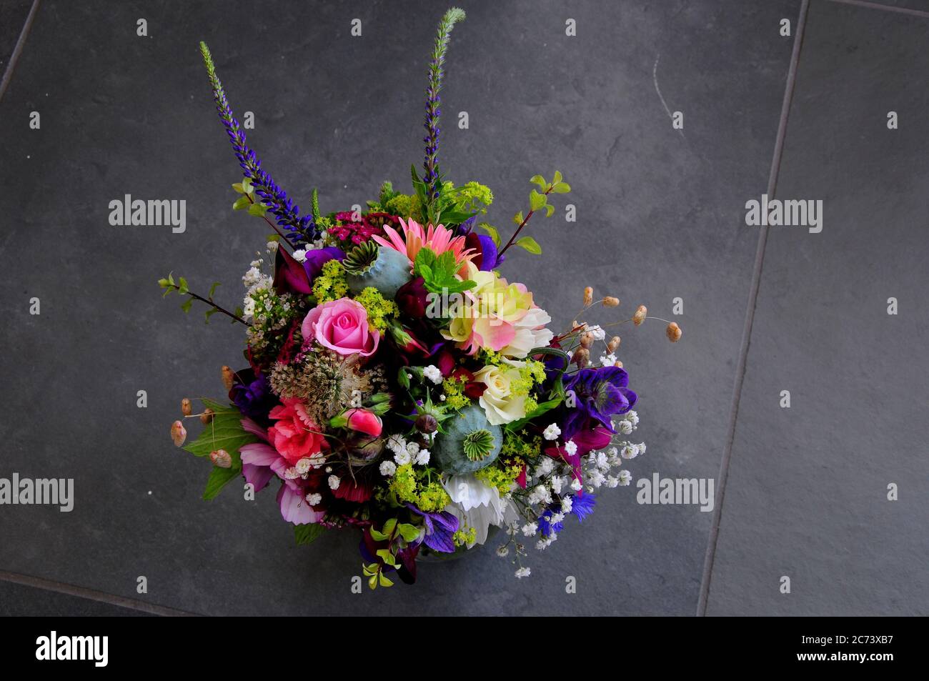 Tuzzy muzzy hi-res stock photography and images - Alamy