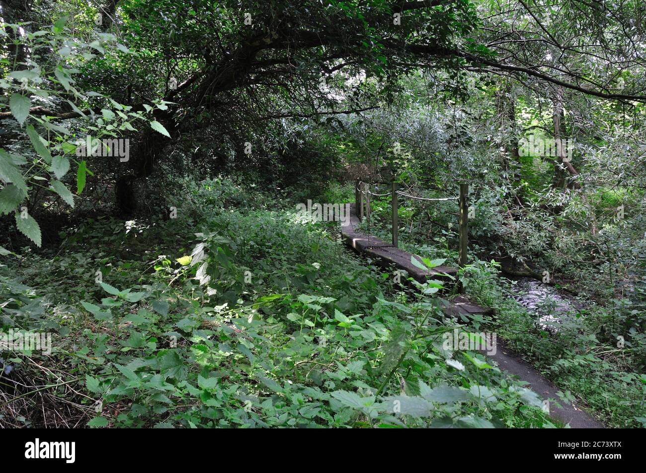 Wiltshire wildlife trust reserve hi-res stock photography and images ...