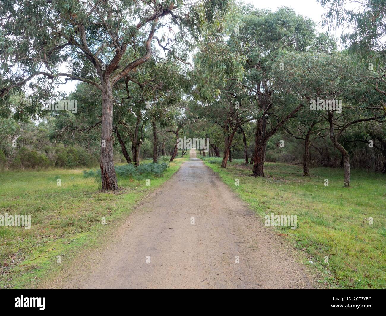 Langwarrin Nature and Fauna Reserve Stock Photo - Alamy