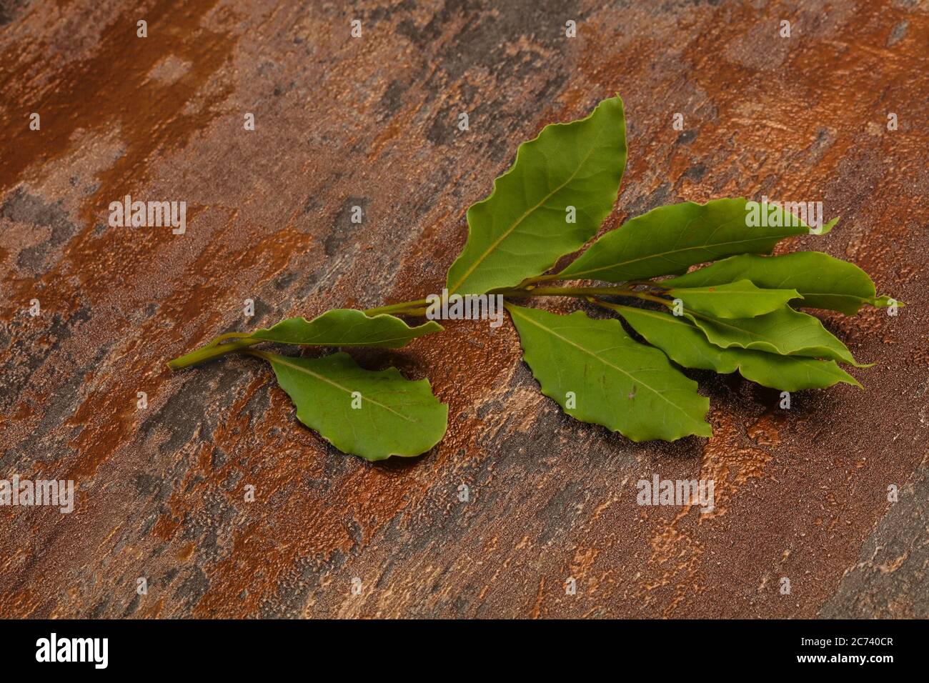Green laurel leaves on the branch - for cooking Stock Photo - Alamy