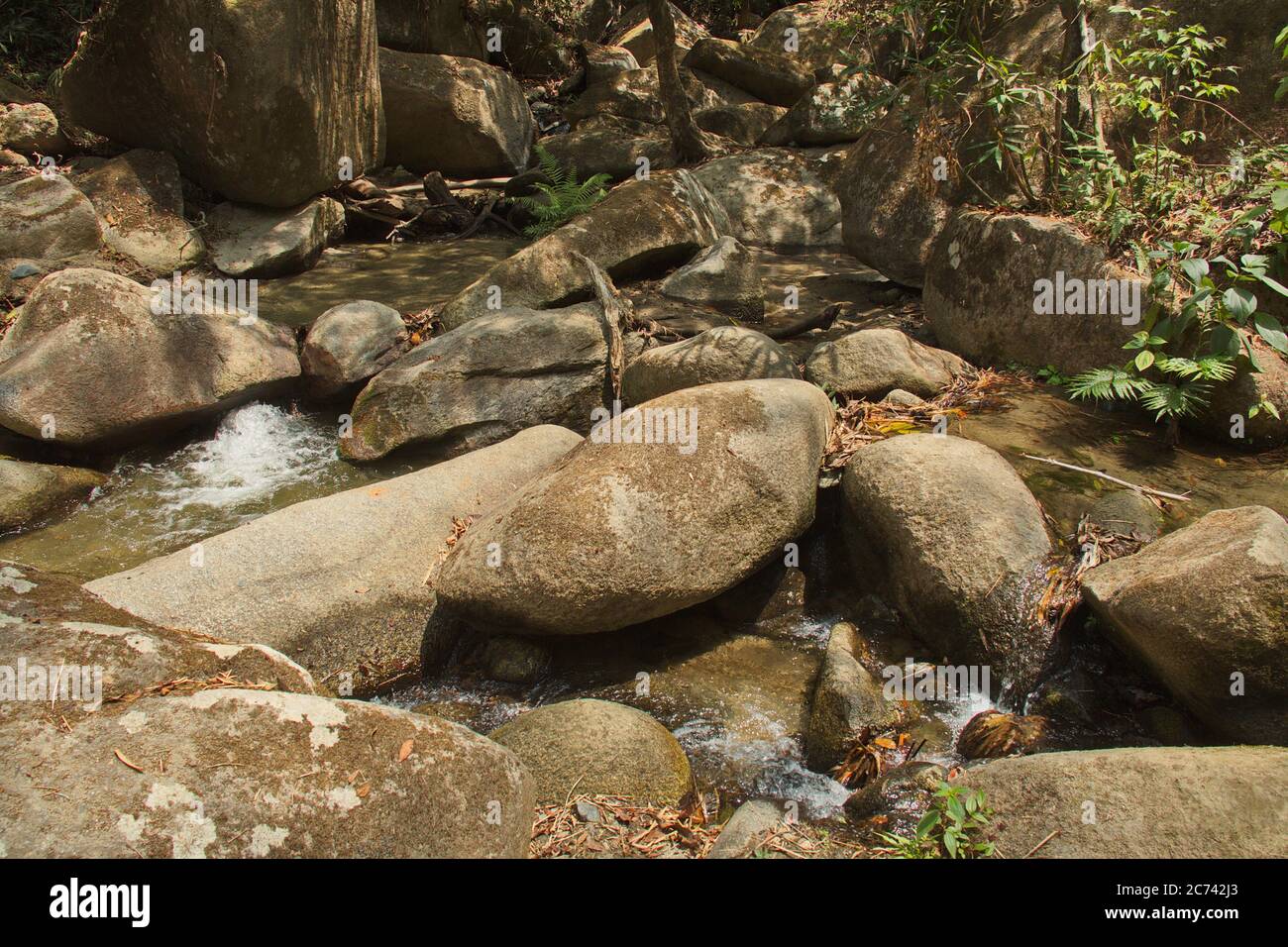 Stony riverbed of Rio Minca near Cascada Perdida in Minca in Colombia ...