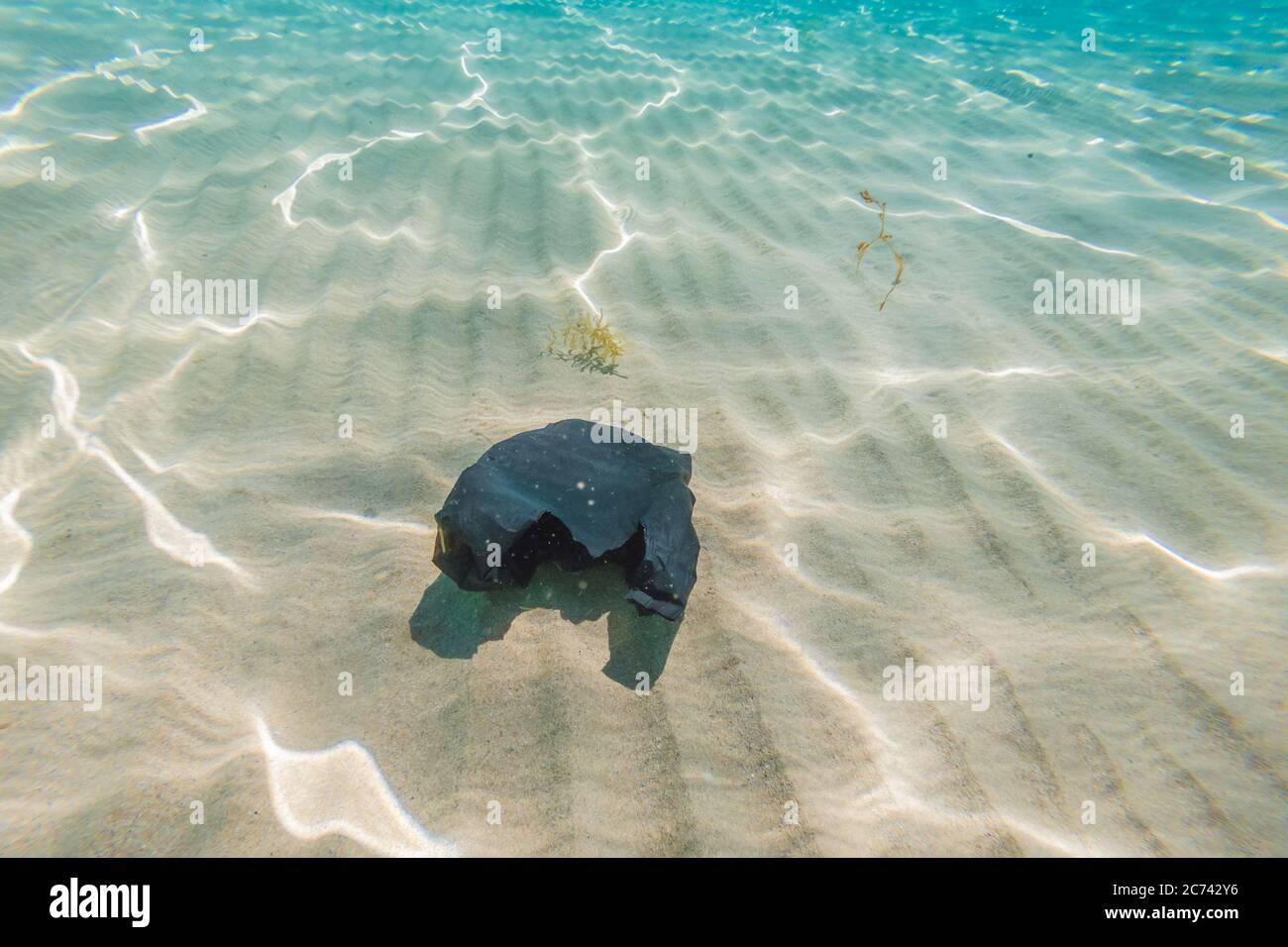 Creative background, plastic bag floating in the ocean, a bag in the ...