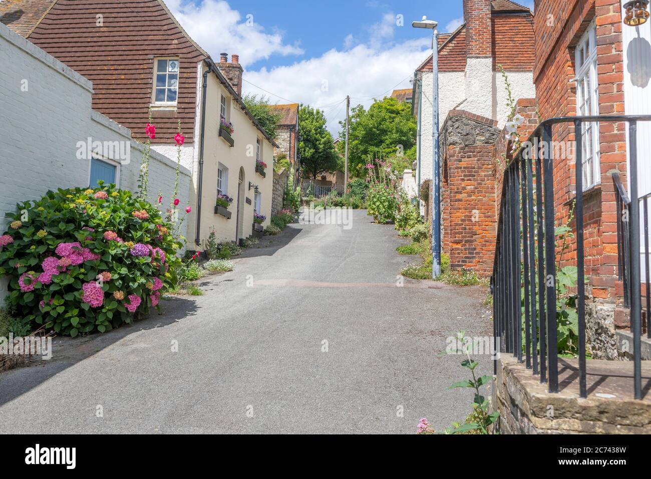 Pretty small flower hi-res stock photography and images - Alamy