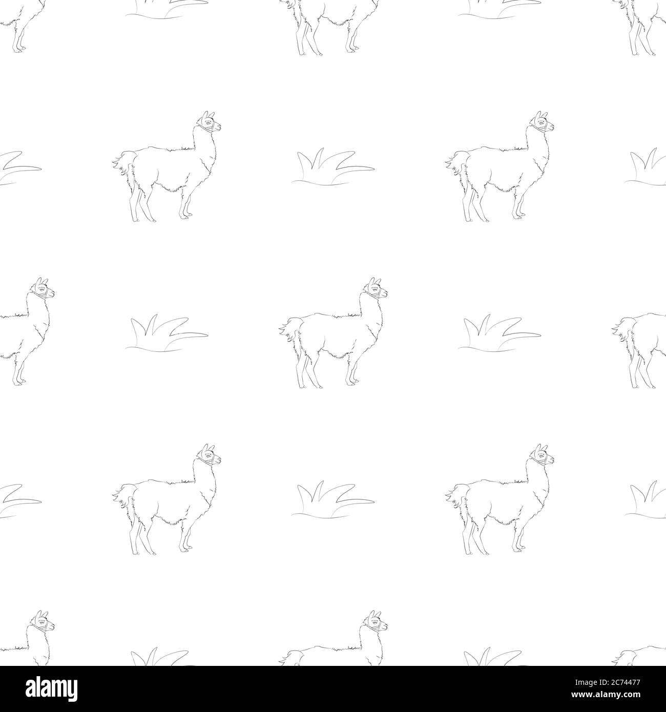 Lama seamless pattern. A beautiful realistic hand drawn sketch of ...