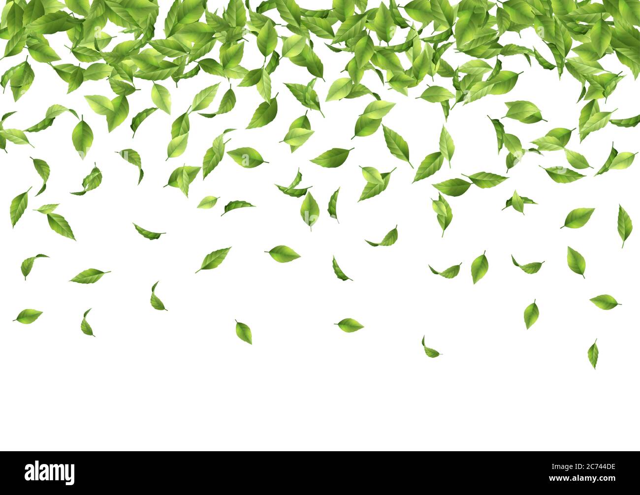 Falling green leaves Stock Vector Image & Art - Alamy