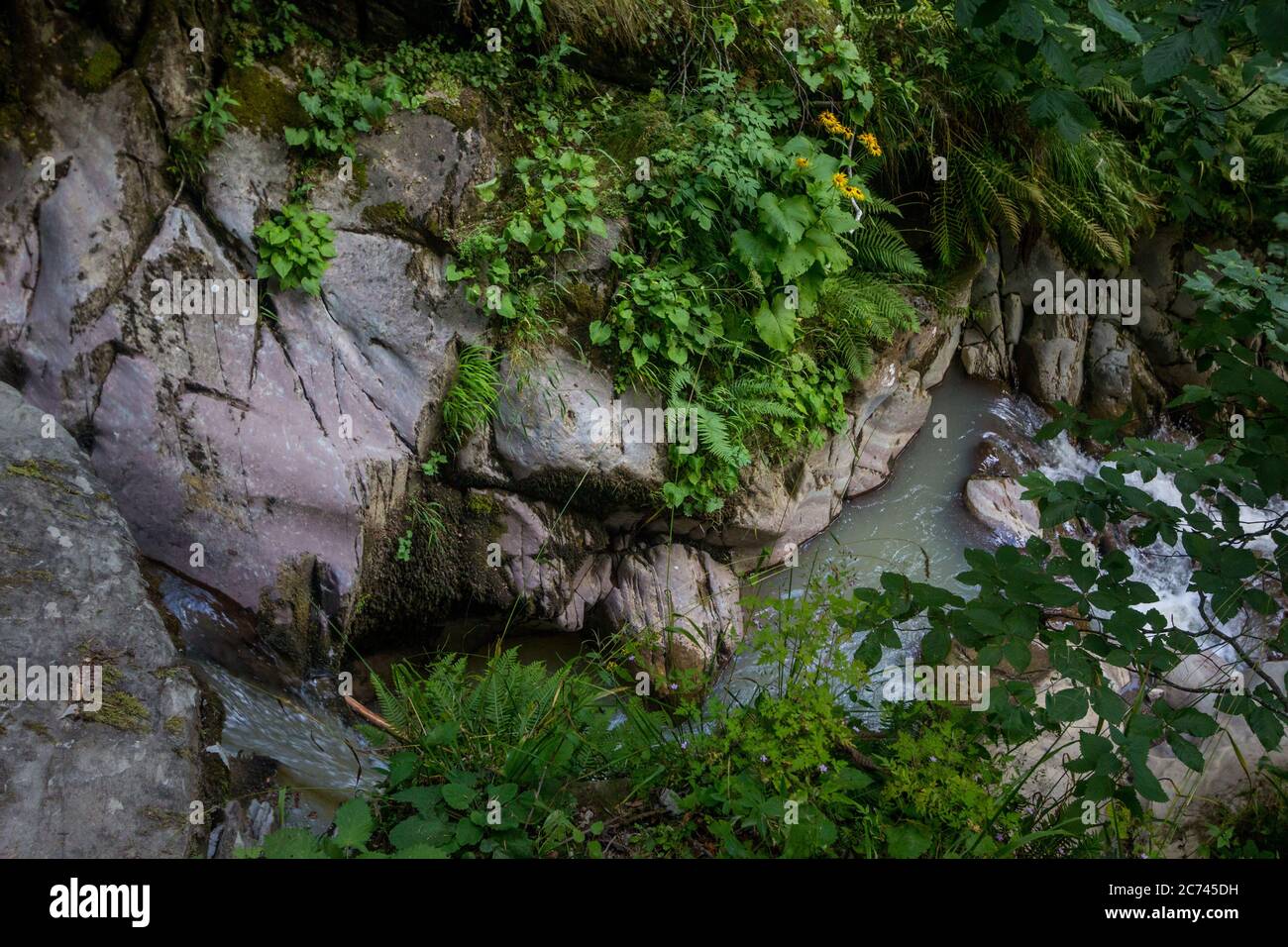 Mountain river flows into the gorge in summer Stock Photo - Alamy