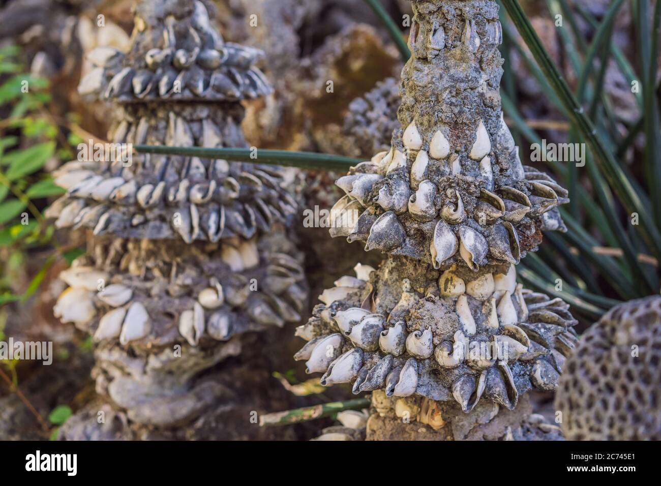 Chua Tu Van temple made of shells and corals or the dragon maze. Travel ...