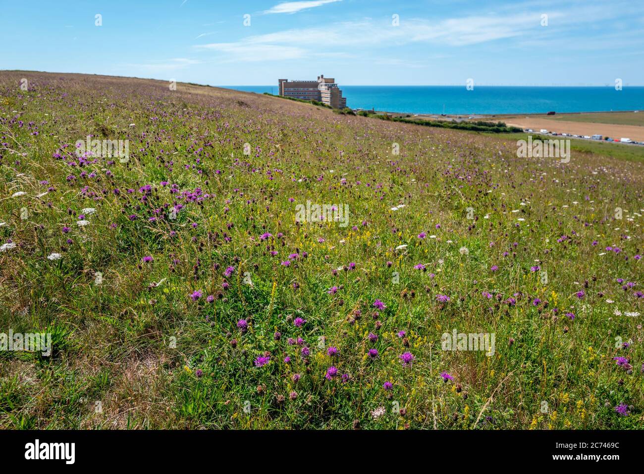 Brighton UK, October 13th 2018: Beacon Hill, Rottingdean, near Brighton ...