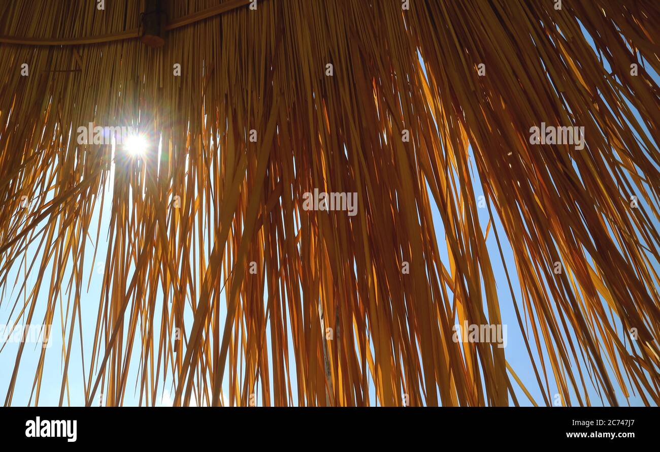 Dazzling sunlight shining through thatched roof for the concept of ...