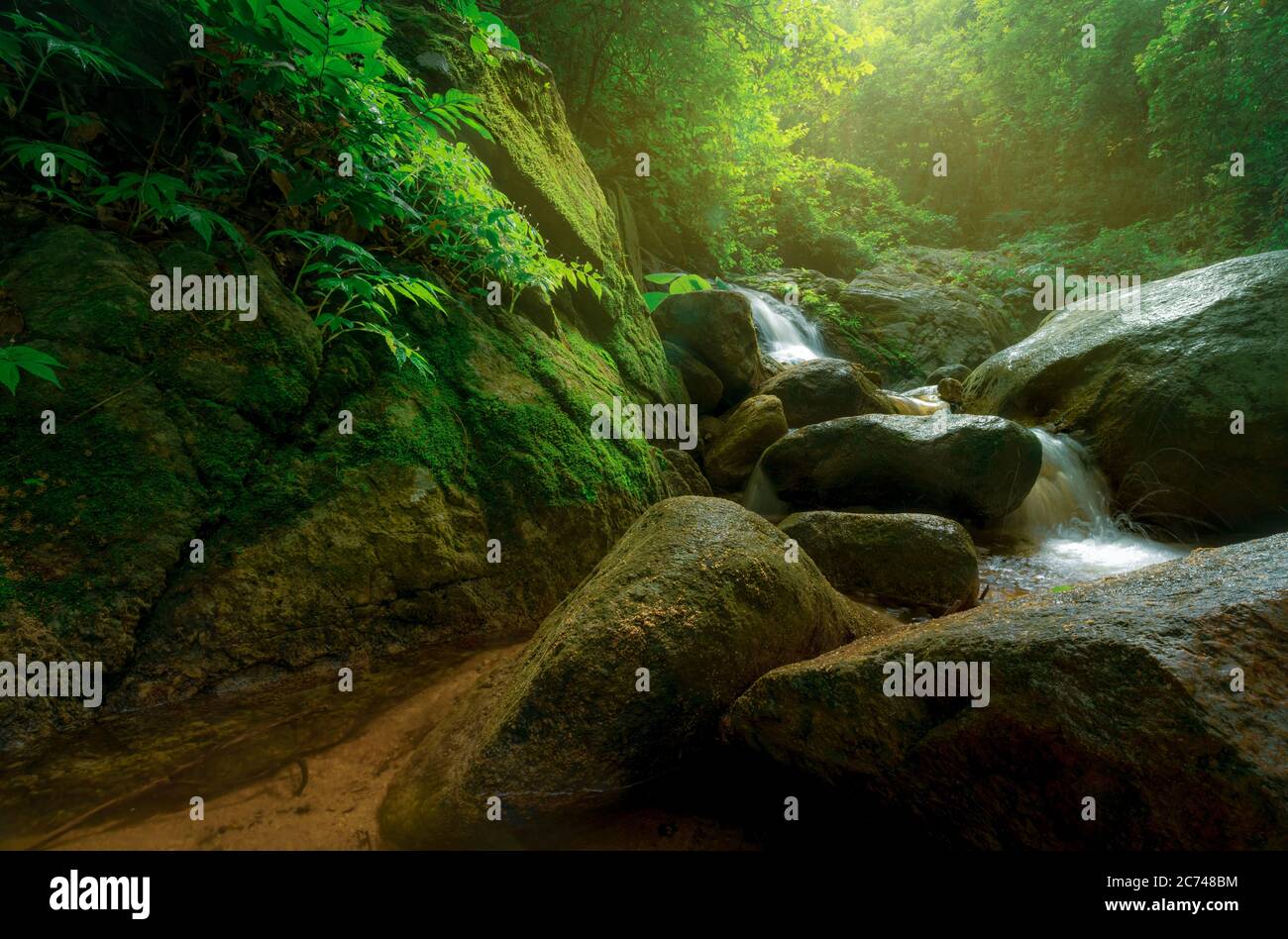 Rock or stone at waterfall. Beautiful waterfall in jungle. Waterfall in ...