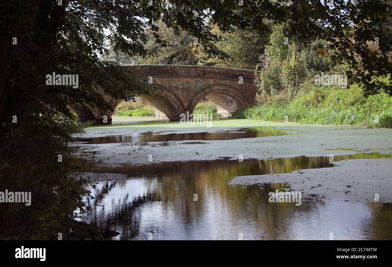 Duck weed, Lemna, on River Tiffey in Kimberley Park with 18th Century 3 ...