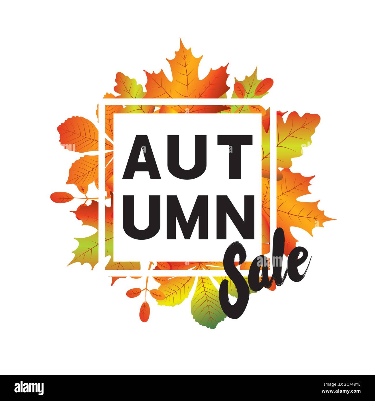 Autumn sale flyer template with lettering. Bright fall leaves. Vector ...