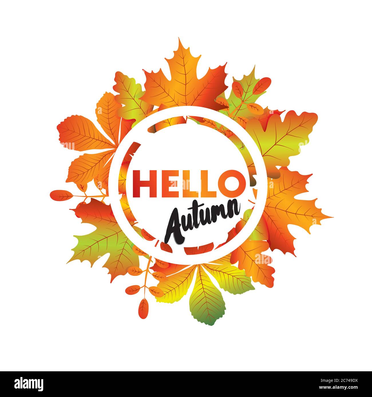 Autumn sale flyer template with lettering. Bright fall leaves. Vector ...