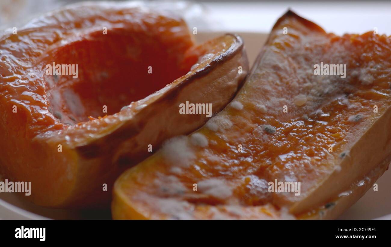 Disgusting mold on a pumpkin Stock Photo - Alamy