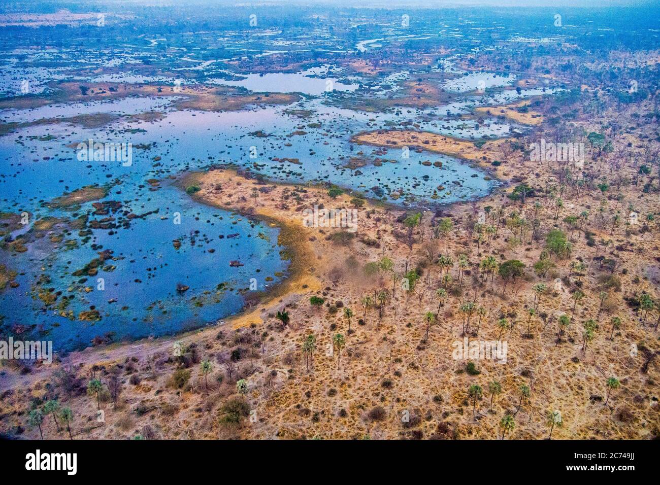 Aerial view, Okavango Delta, Botswana, Africa Stock Photo - Alamy