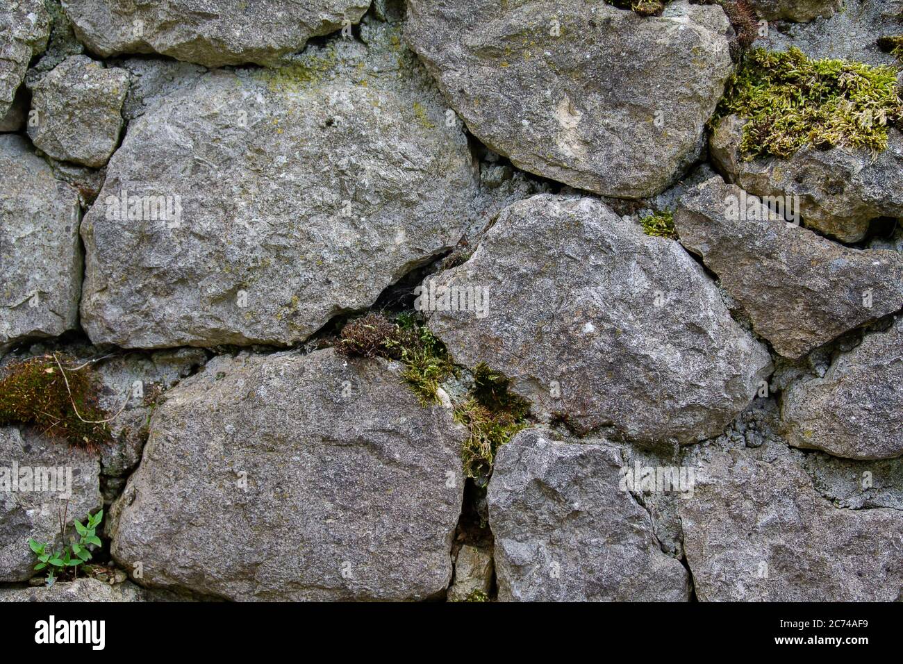 Stone wall overgrown hi-res stock photography and images - Alamy